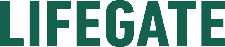 Home Bike The City - Bikethecity®